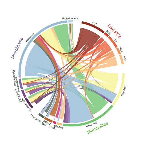 Fancy plots - GG | Data Viz